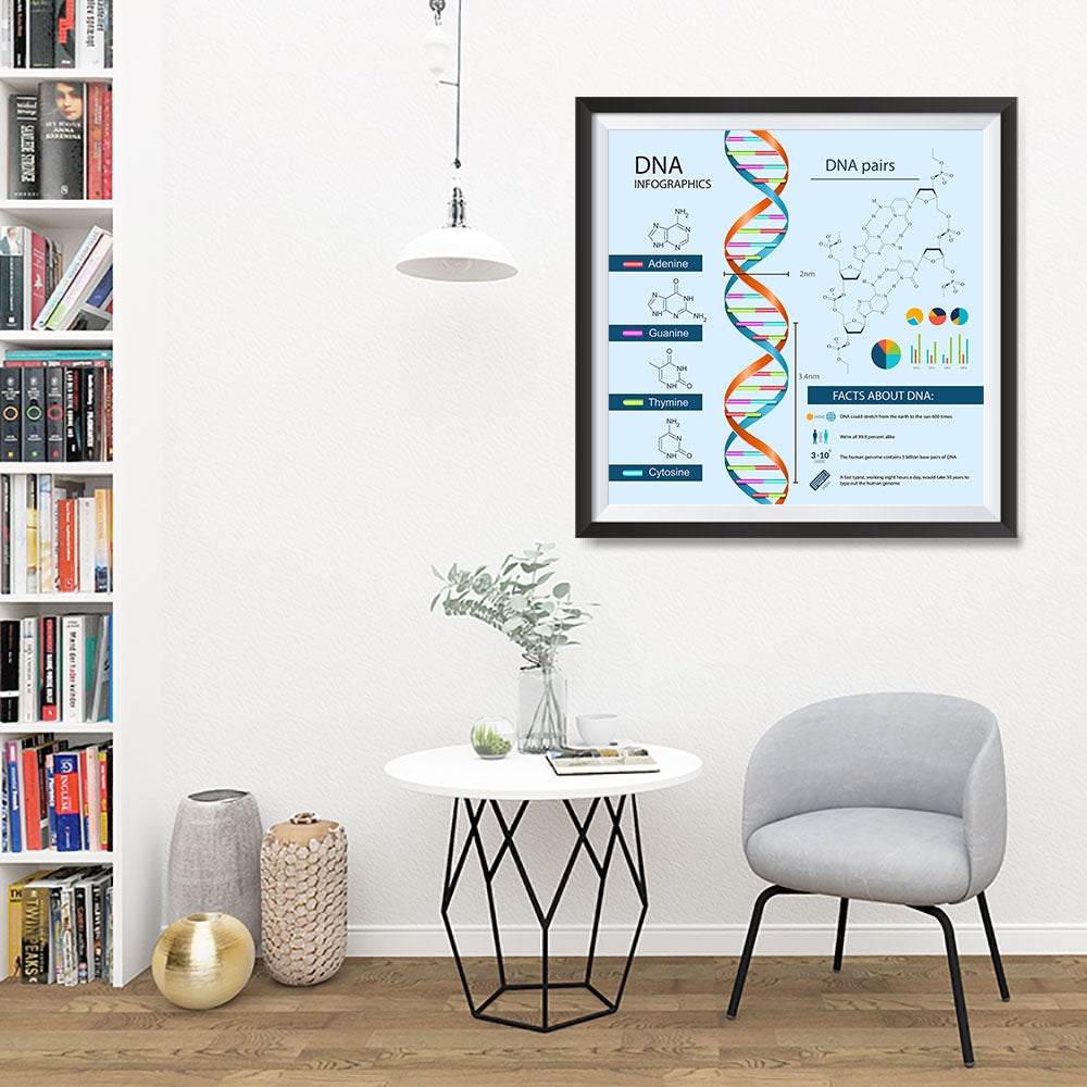 Facts About DNA Poster – EzPosterPrints