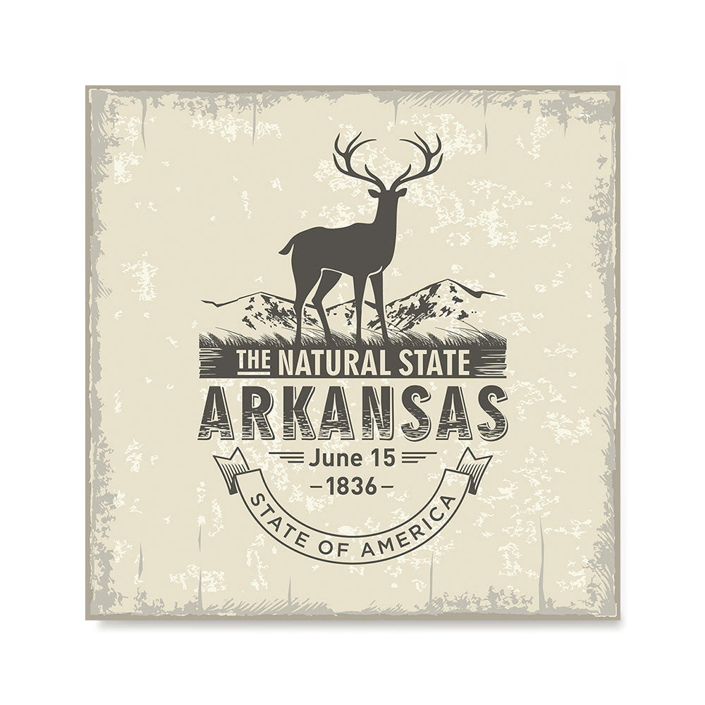 Arkansas (AR) State Icon, The US State Icons | EzPosterPrints.com