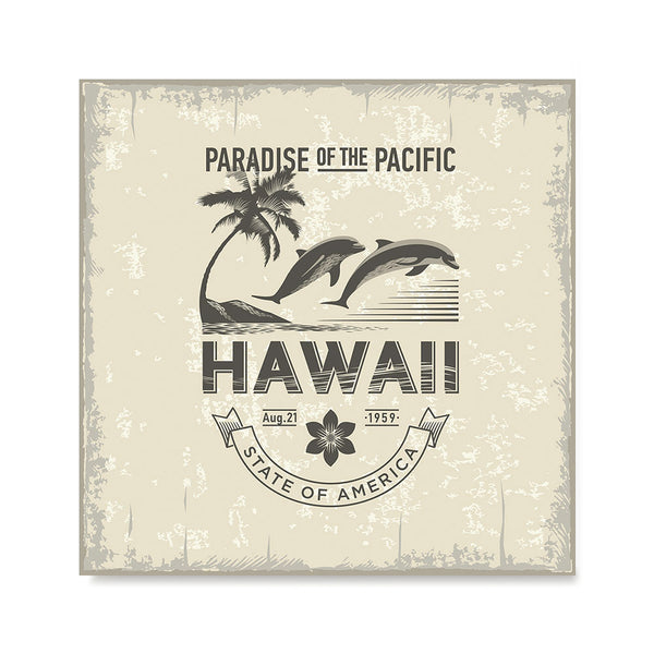 Hawaii (HI) State Icon, The US State Icons | EzPosterPrints.com
