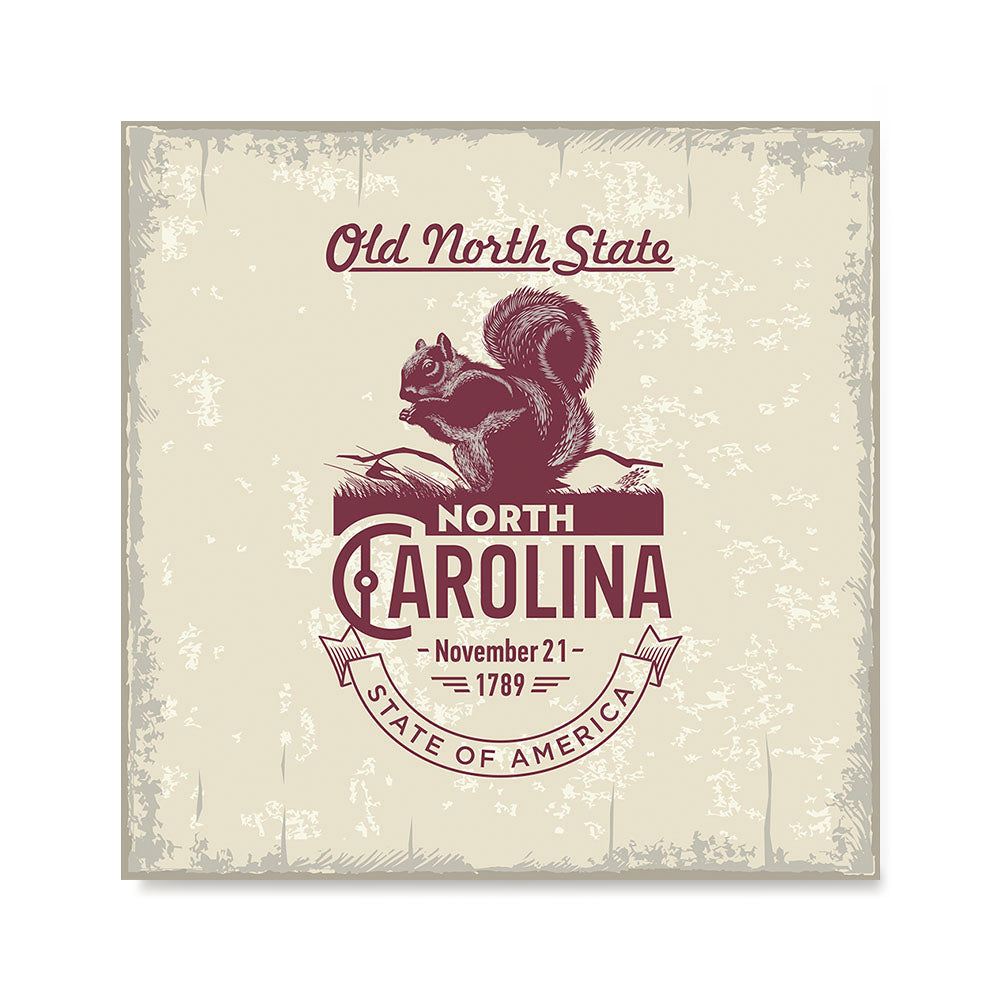 North Carolina (NC) State Icon, The US State Icons | EzPosterPrints.com