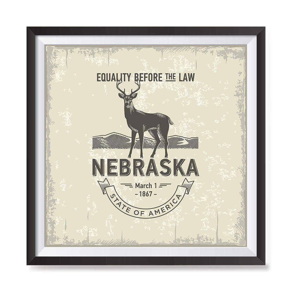 Nebraska (NE) State Icon, The US State Icons | EzPosterPrints.com