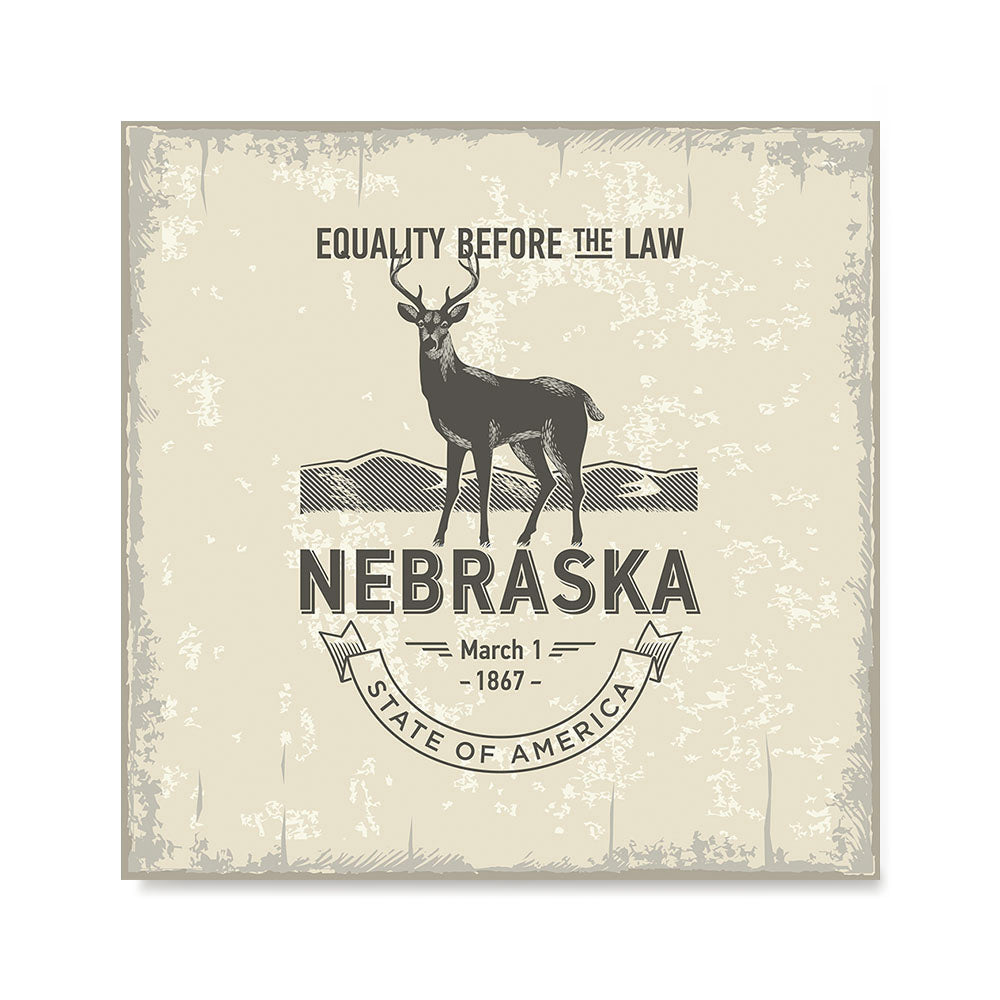 Nebraska (NE) State Icon, The US State Icons | EzPosterPrints.com