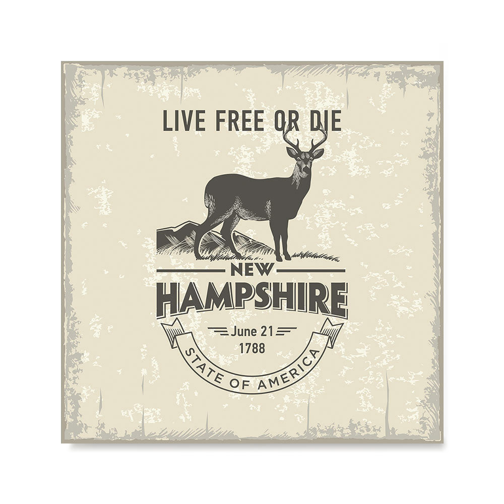 New Hampshire (NH) State Icon, The US State Icons | EzPosterPrints.com