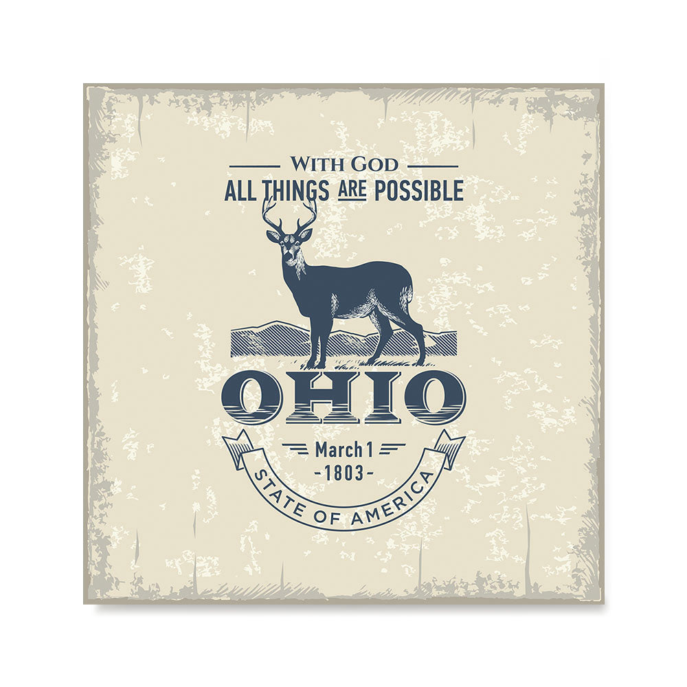 Ohio (OH) State Icon, The US State Icons | EzPosterPrints.com